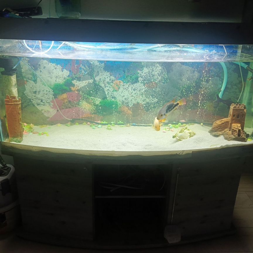 Аквариум с тумбой 600 литров