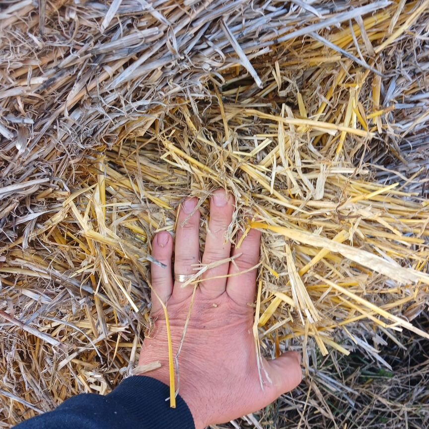 Солома в рулонах