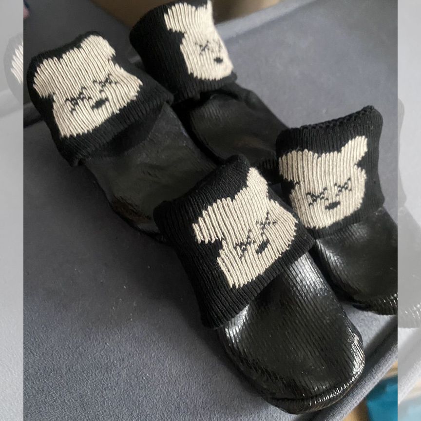 Обувь для собак