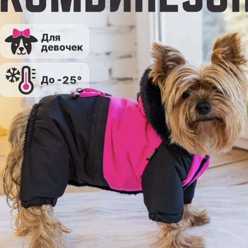 Одежда для собак