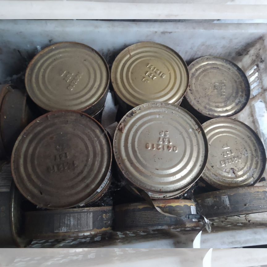 Продам консервы для животных шпроты в масле