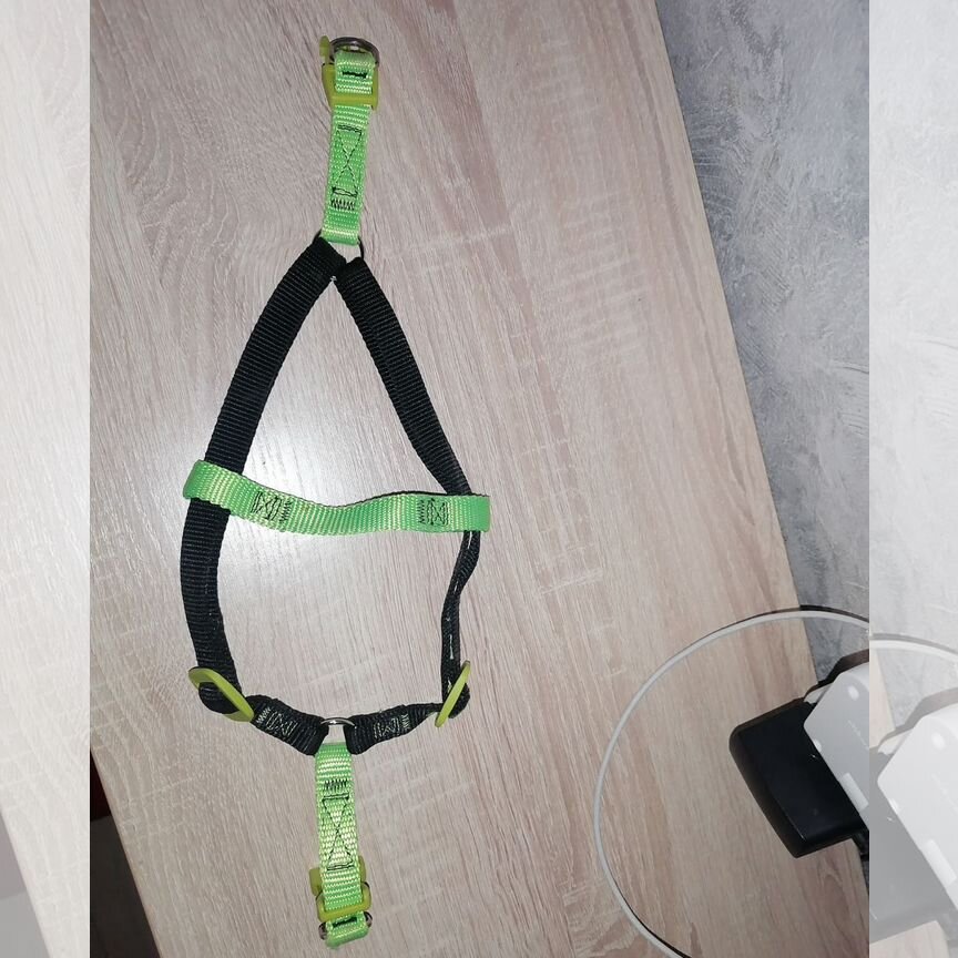 Шлейка для маленькой собаки