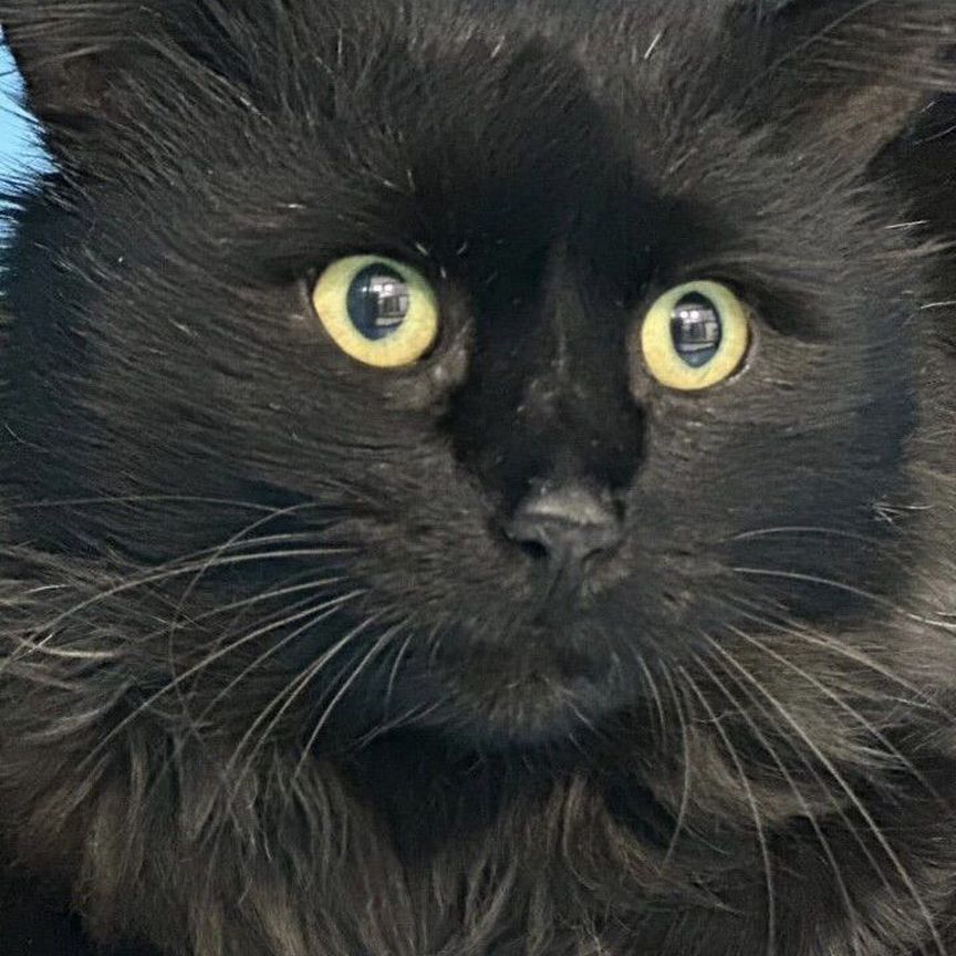 Мальчик ищет дом