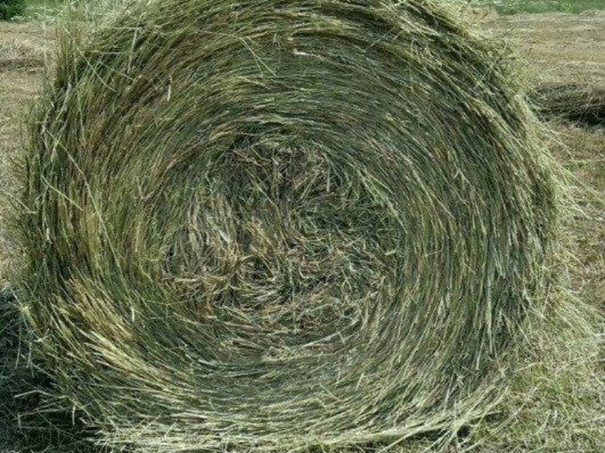 Продаётся сено