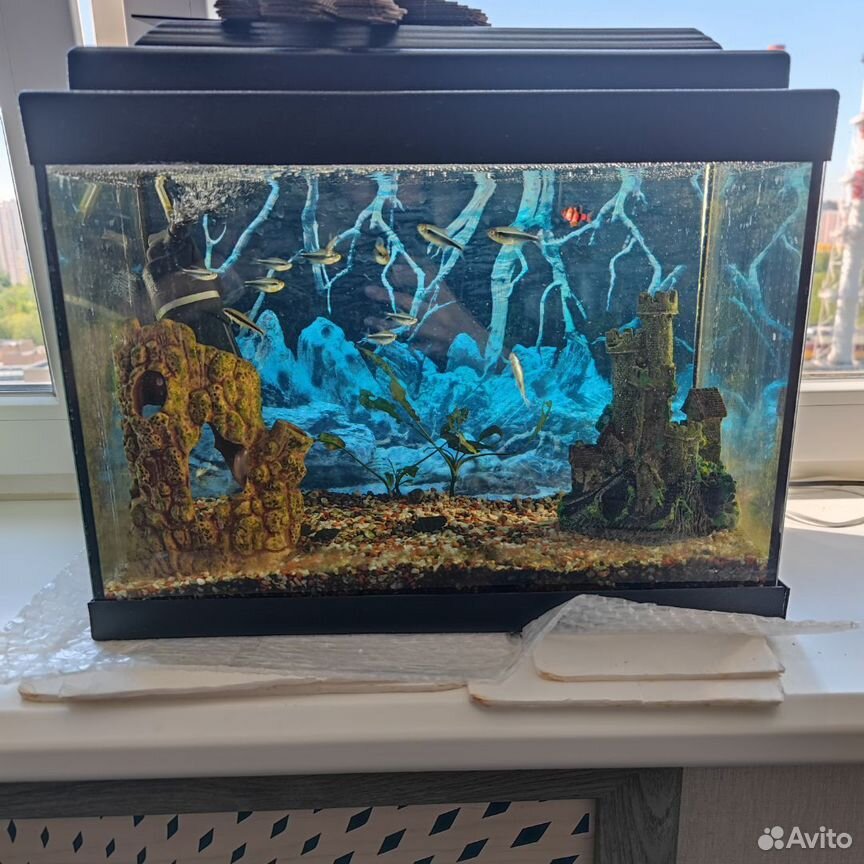 Аквариум
