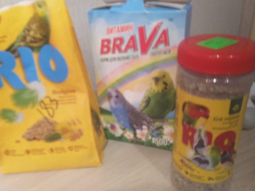 Возьму бесплатно Попугая