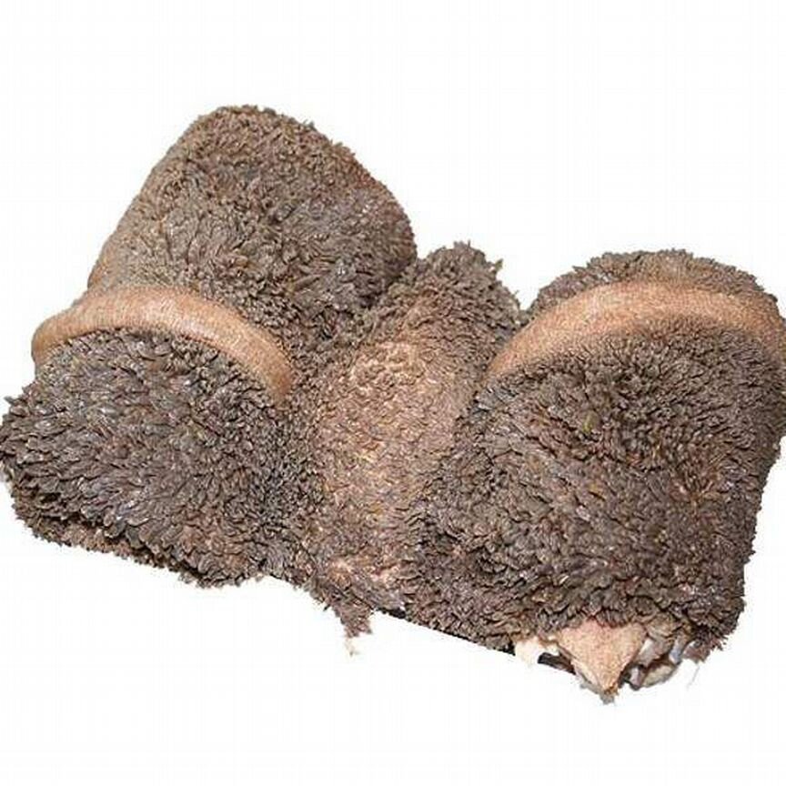 Сырой корм для собак