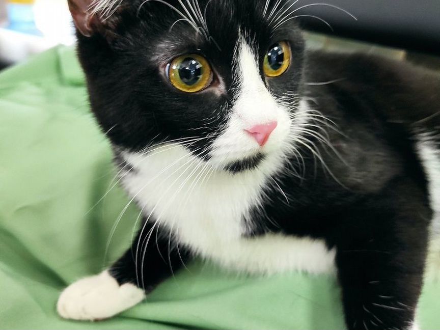 Видео плюшевая ласкуша 8 мес