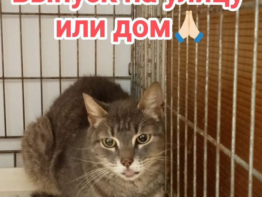 3 дня на поиск дома