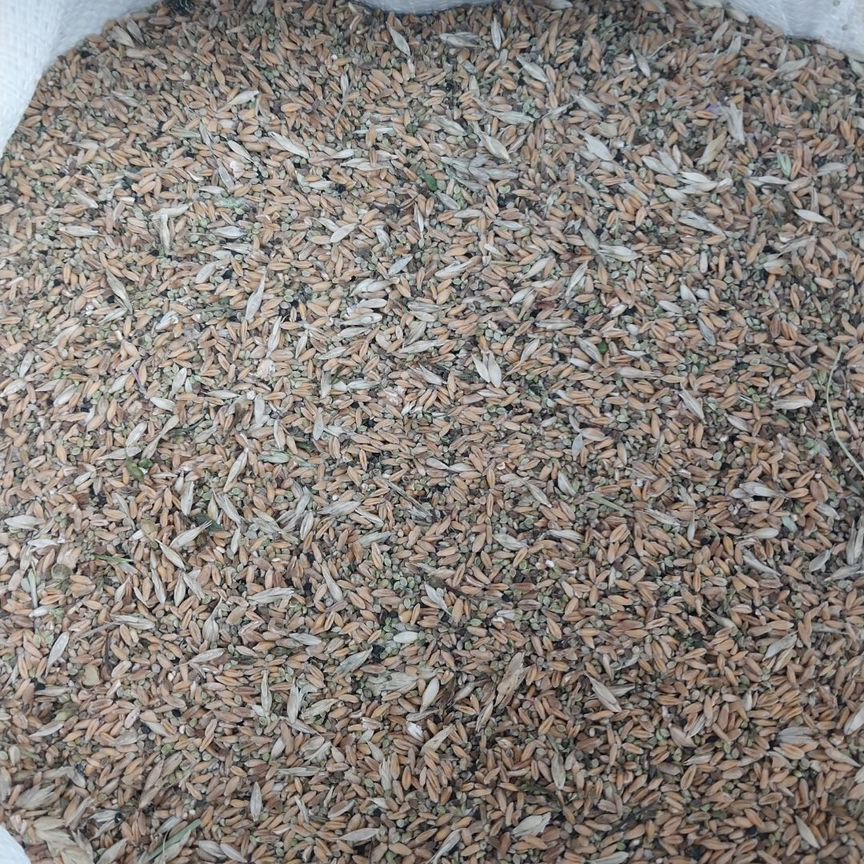 Зерноотходы новый урожай