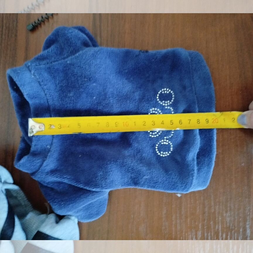 Вещи для собак мелких пород