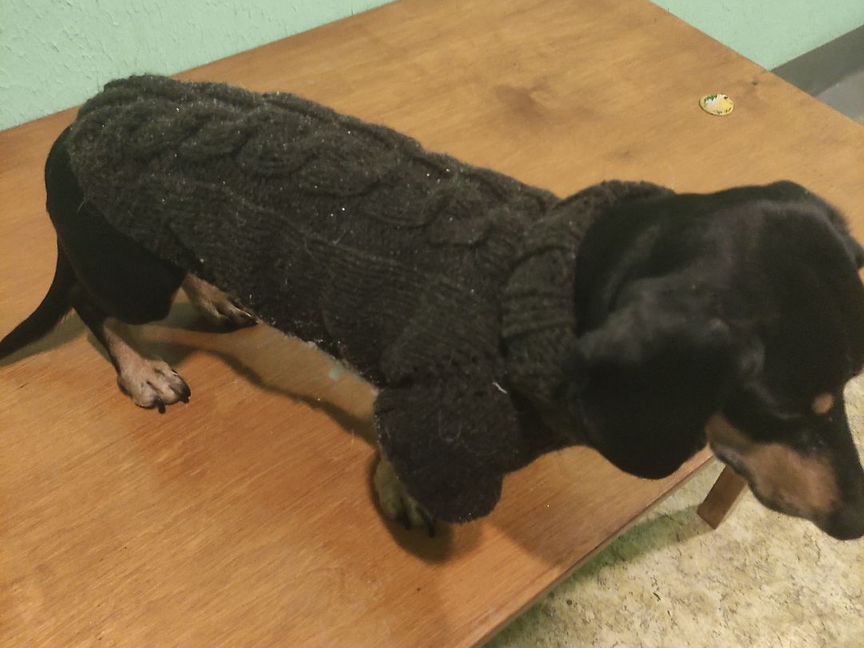 Вязаный комбинезон для маленьких собак