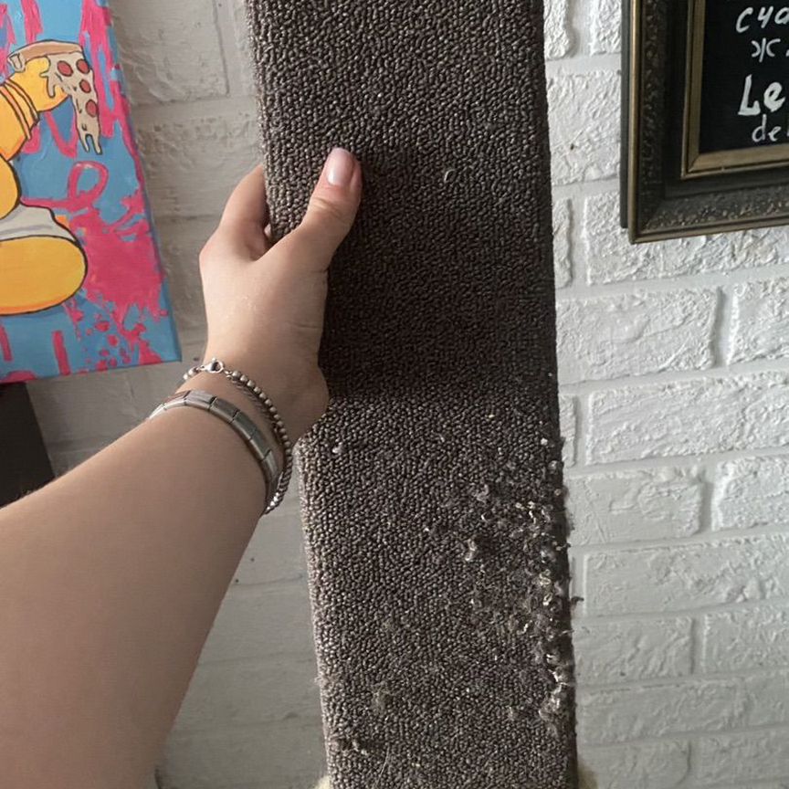 Когтеточка