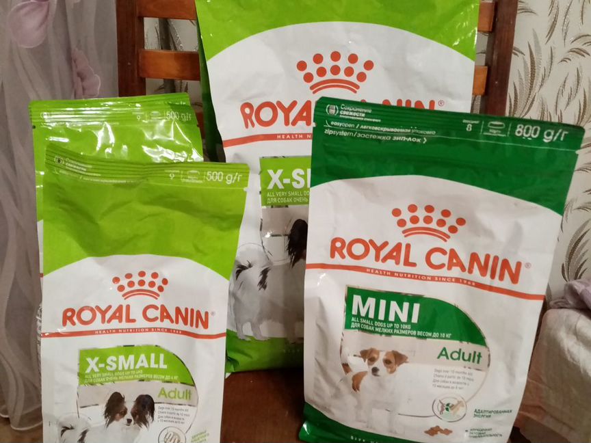Royal Canin для мелких пород собак