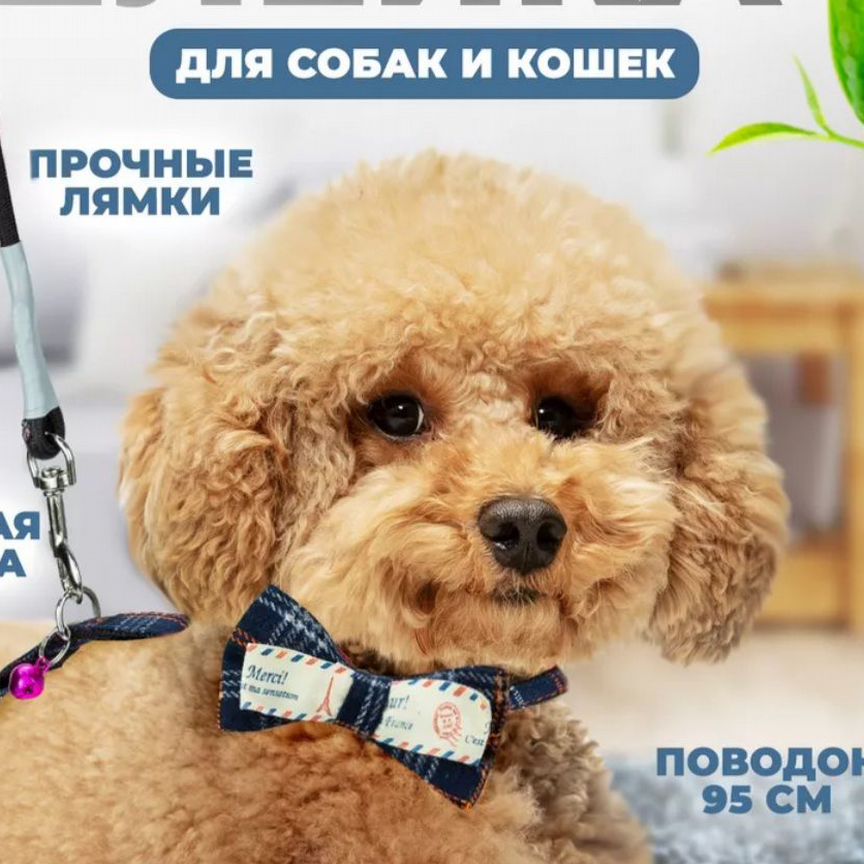 Ошейник для кошек и собак