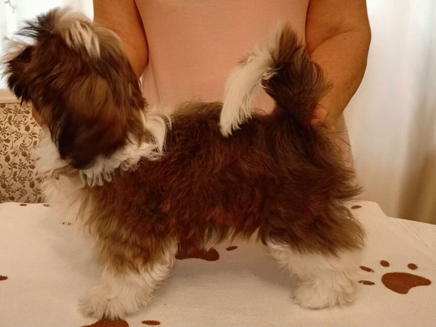 Папина дочь