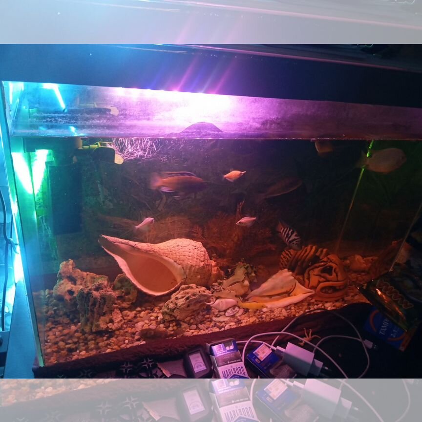 Аквариум с рыбками