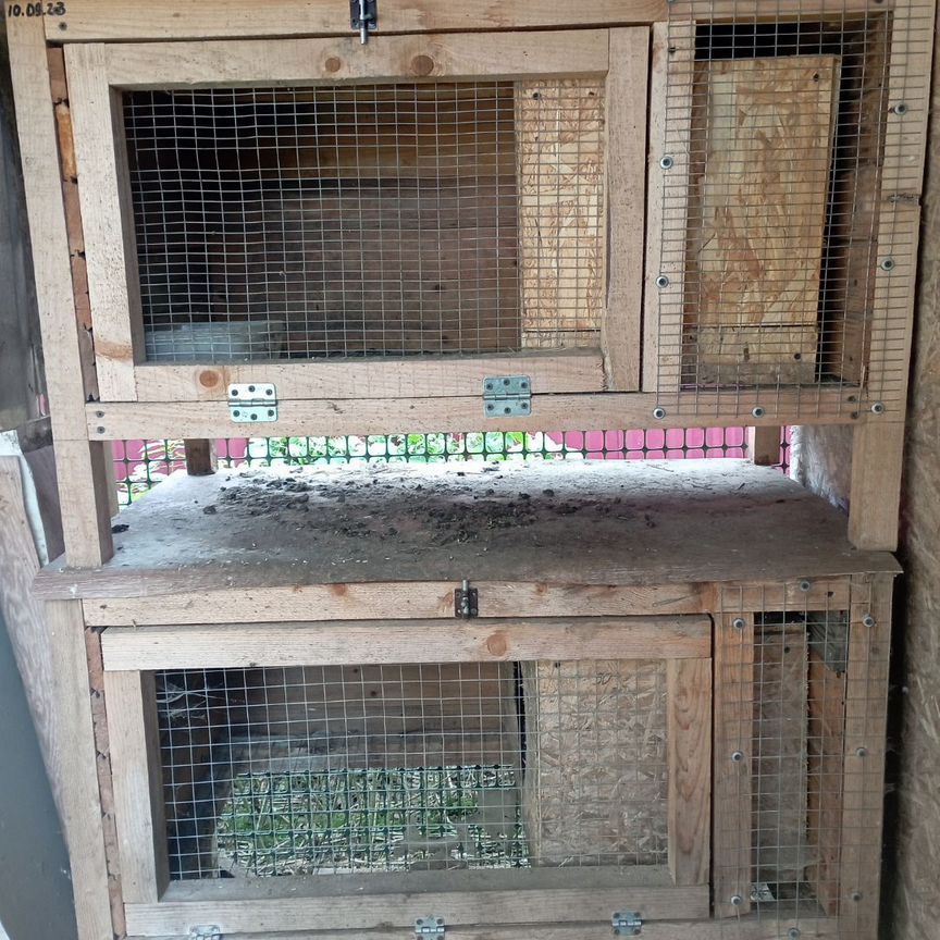 Крольчатник