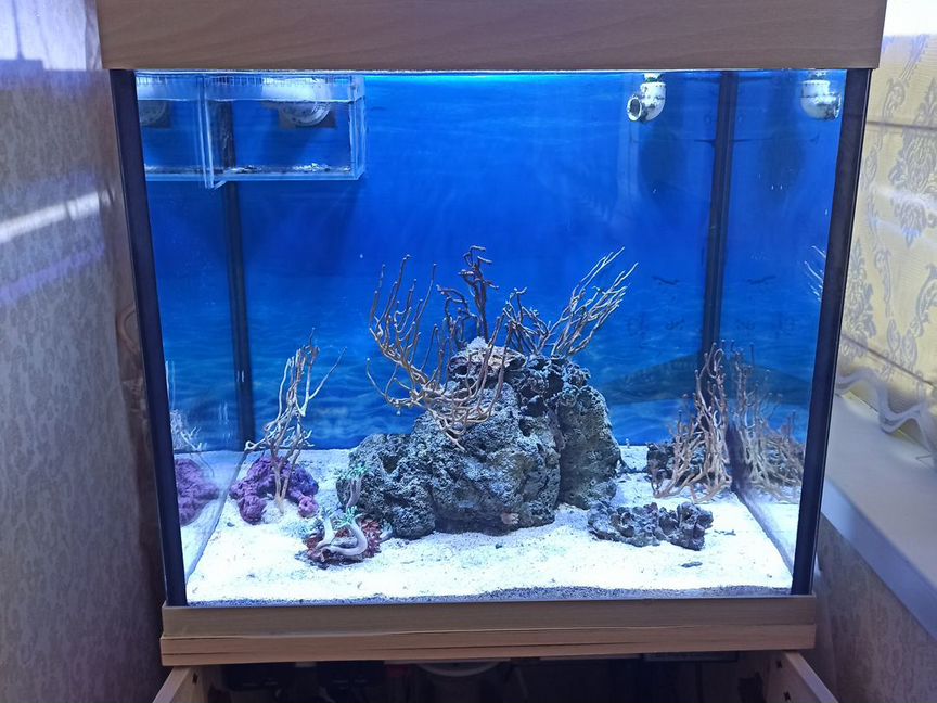 Морской аквариум 160л с сампом и тумбой