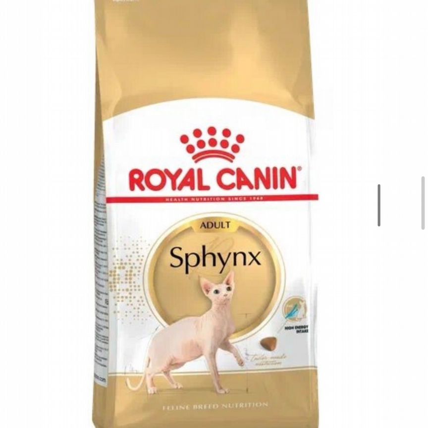 Корм для сфинксов royal canin