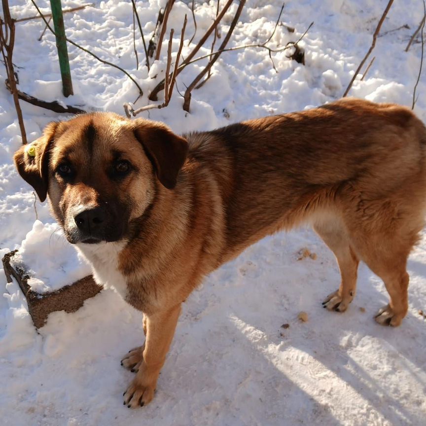 Стерильная девочка- сторож ищет работу и дом