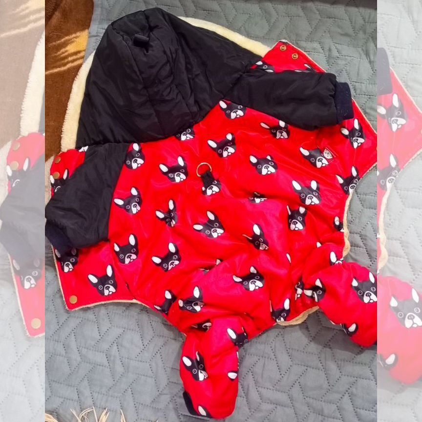 Зимняя одежда для собак мальчиков