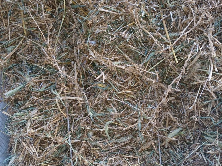 Сено в квадратных тюках