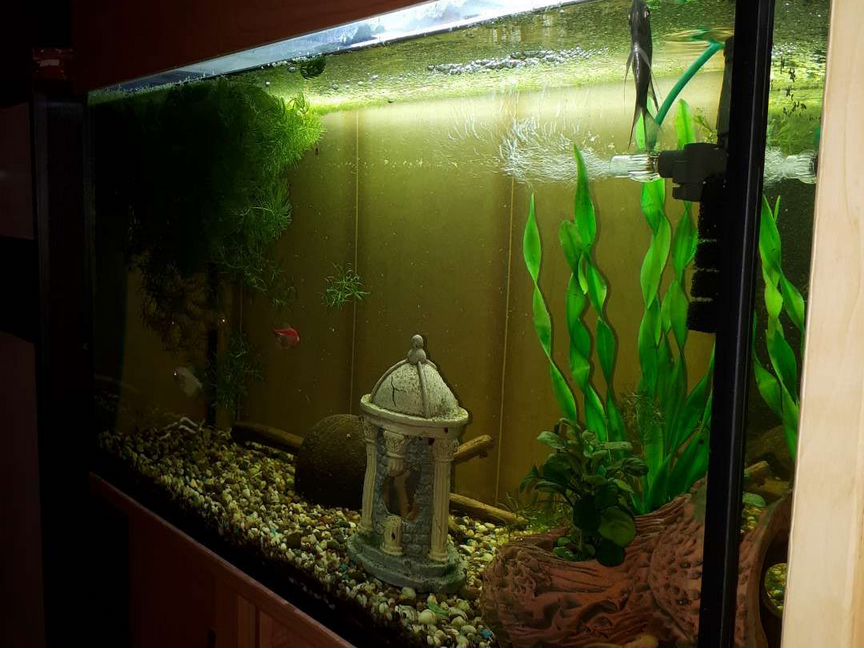 Аквариум с тумбой