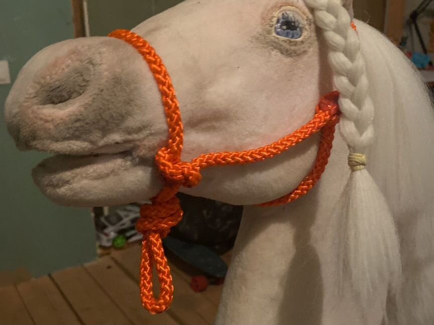 Недоуздки и чембуры для хорса