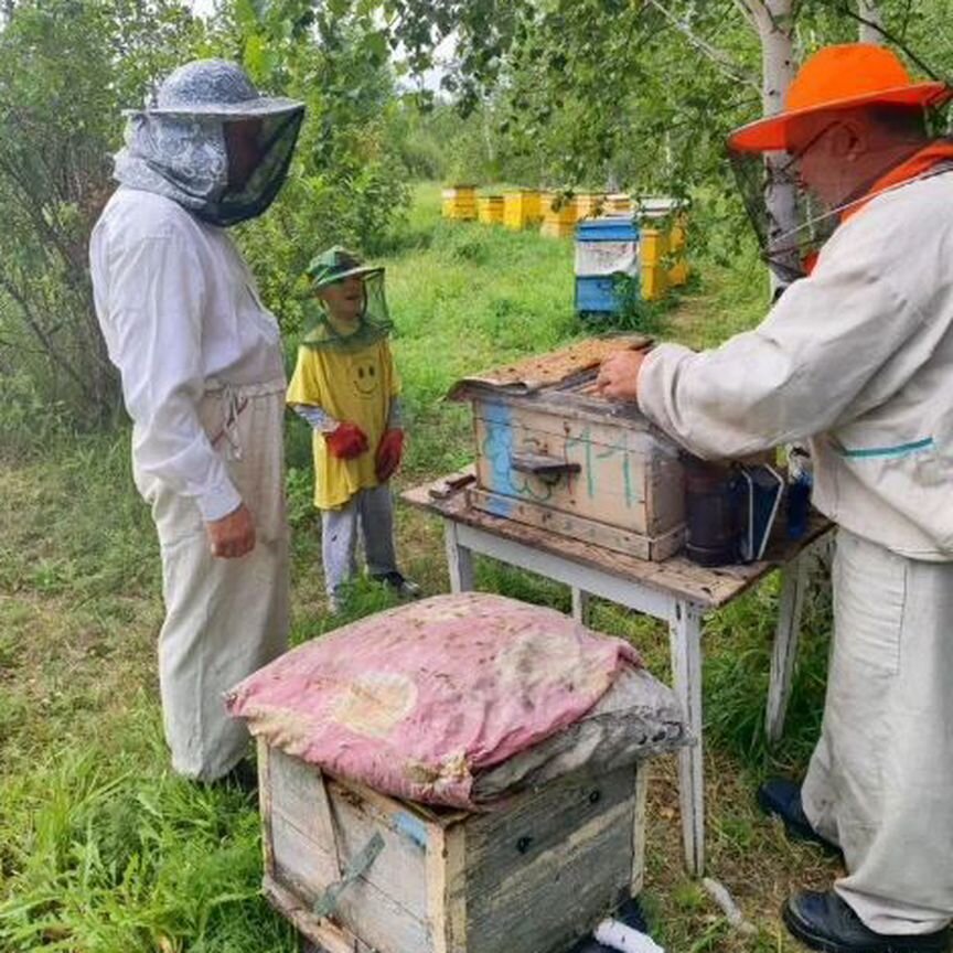 Пчелопакеты 2026