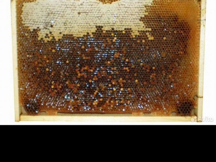 Рамки кормовые для пчел