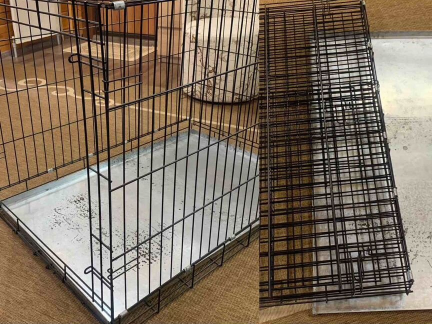 Вольер для собак