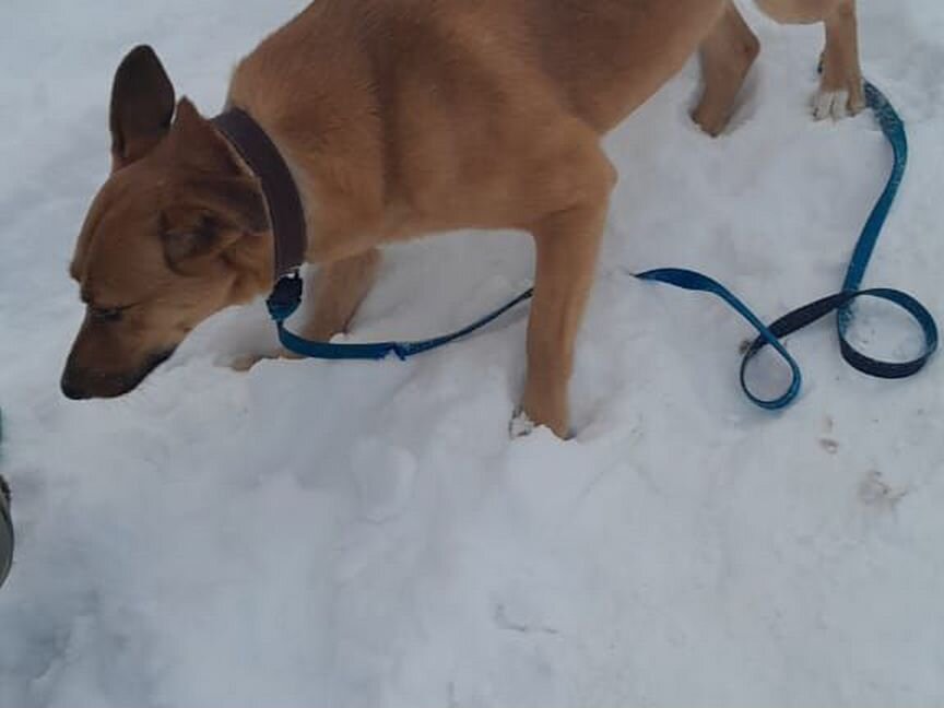 Я потерялся