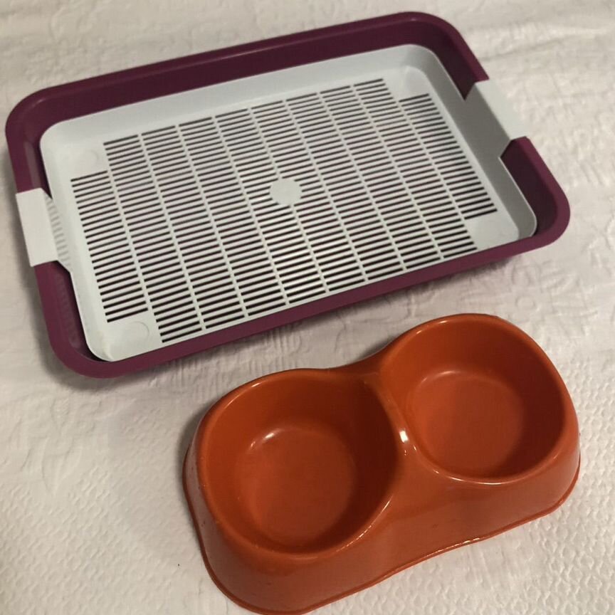 Лоток и двойная миска для кошки