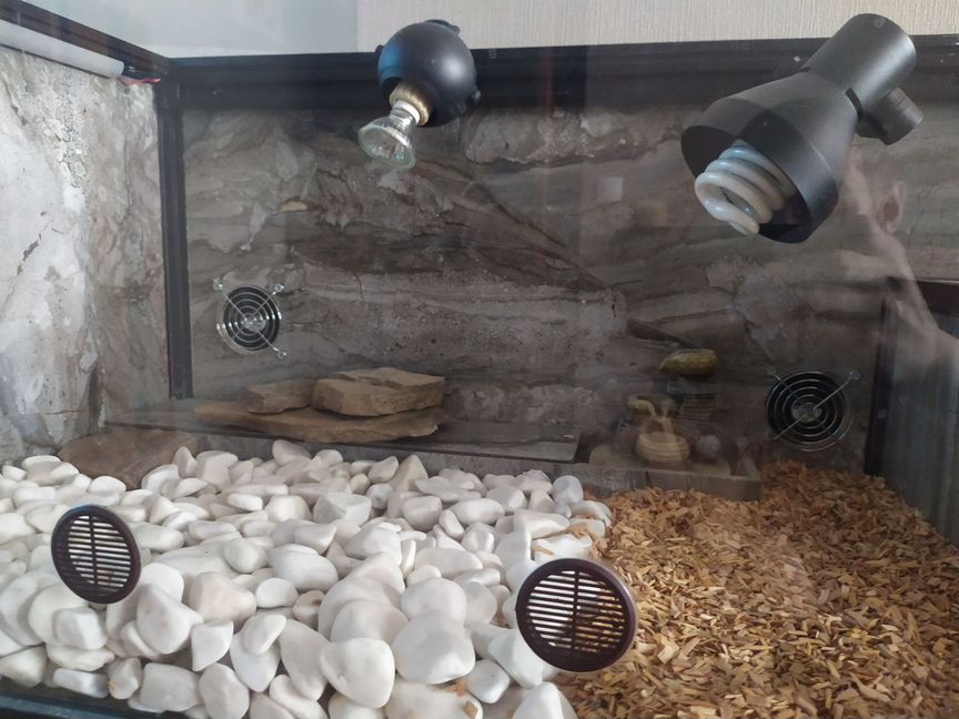 Террариум для сухопутной рептилии