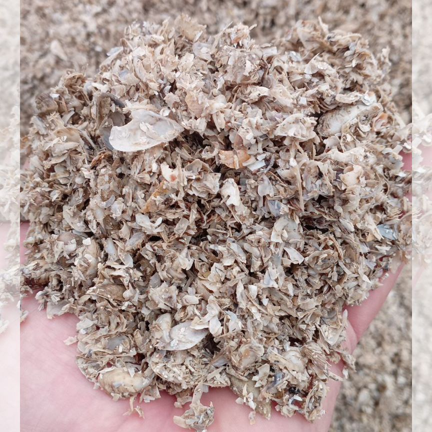 Ракушка речная дробленая