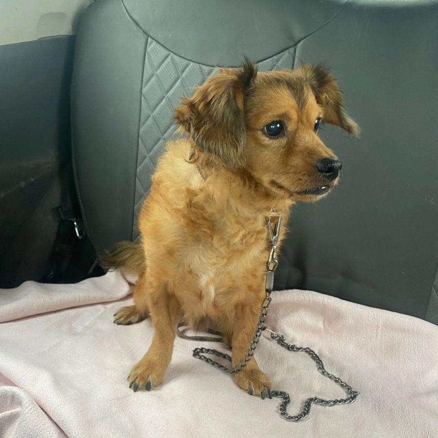 Очень нужна семья