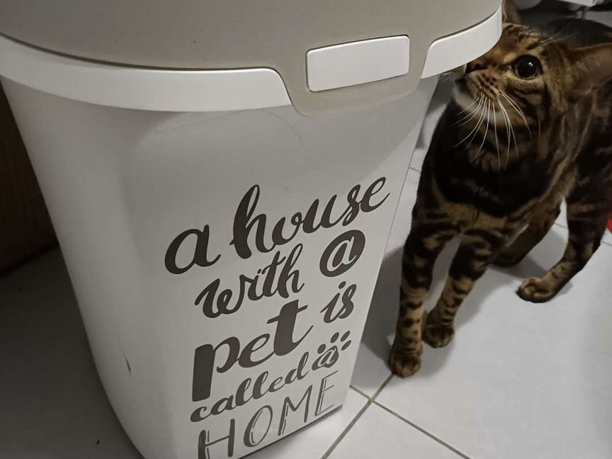Контейнер для корма большой Pet Wisdom, 38 л