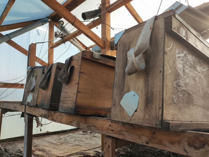 Рамконос на 6 рамок дадан