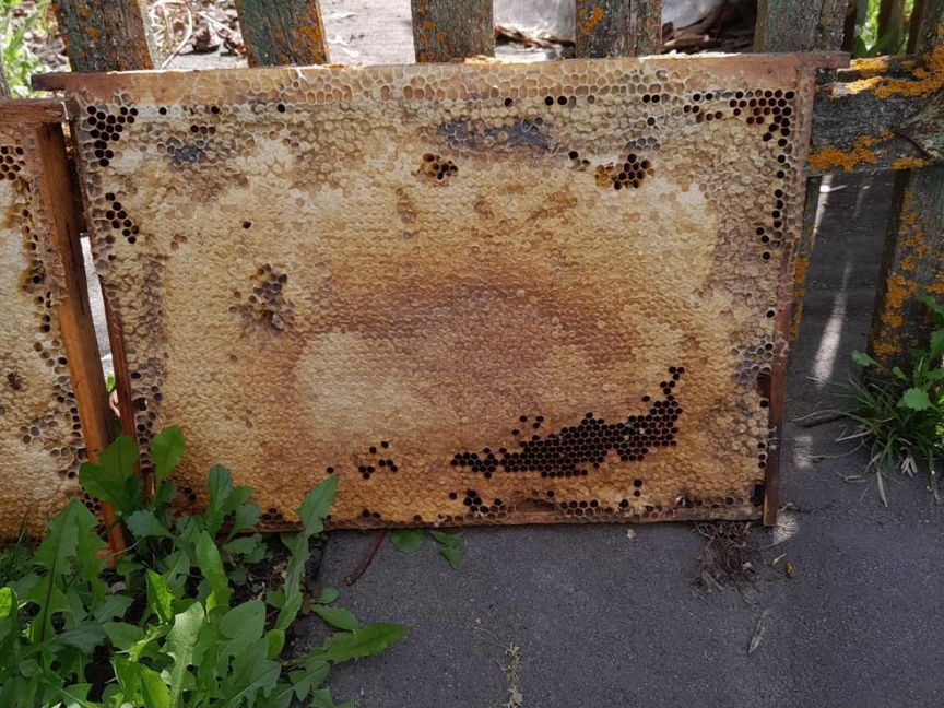 Рамки с мёдом