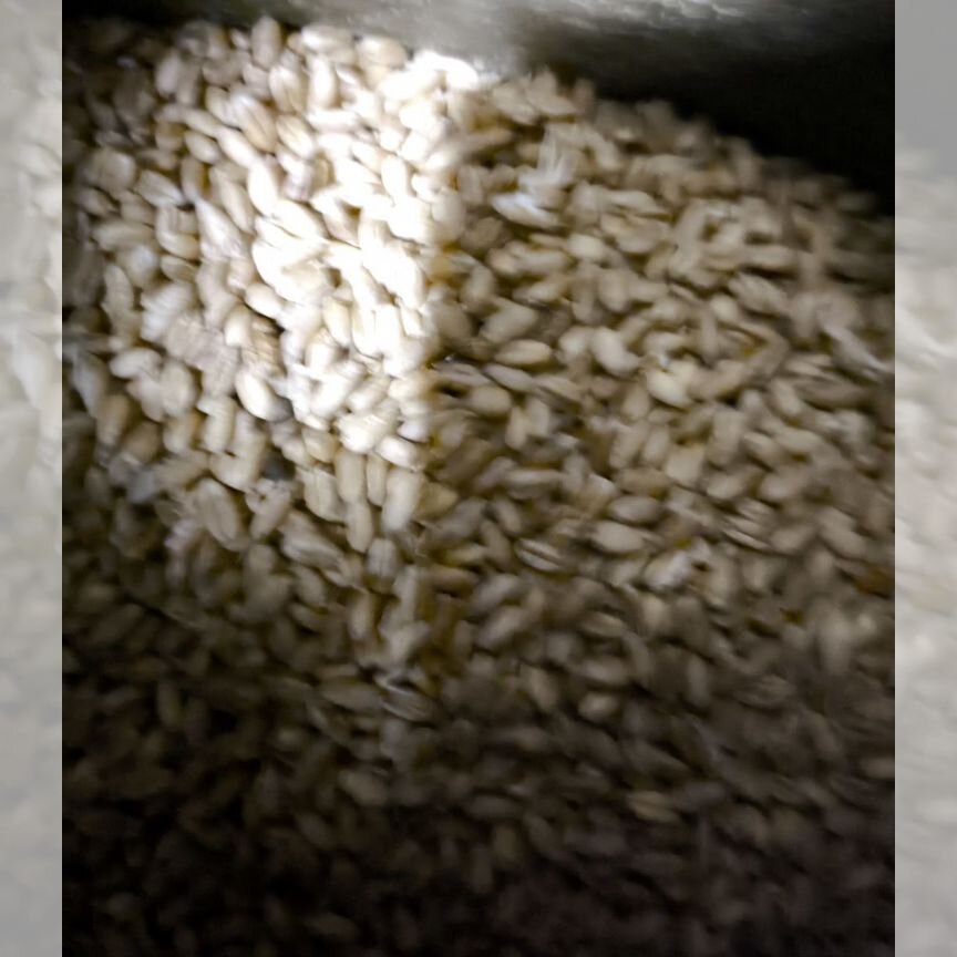 Зерно пшеница ячмень в мешках