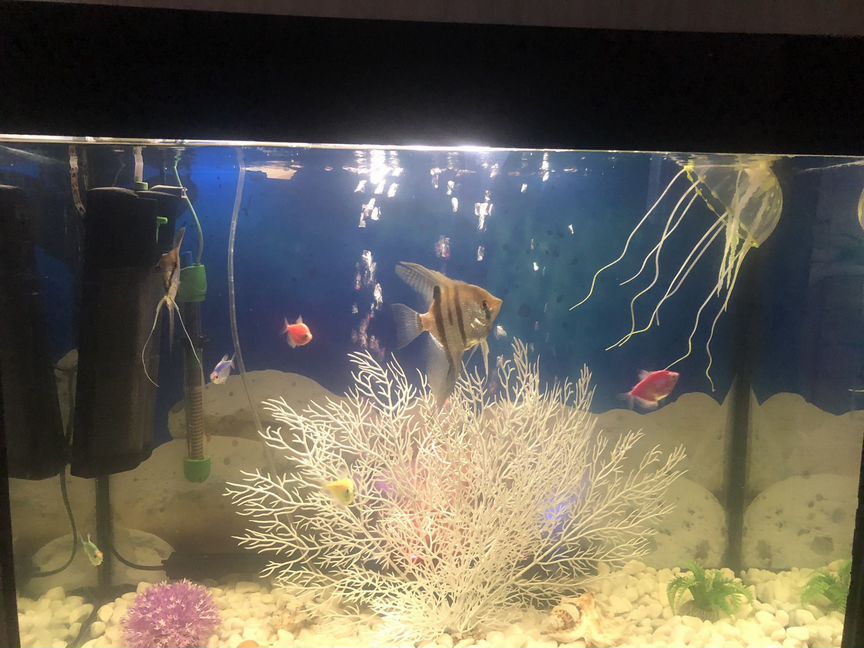 Аквариум 100л