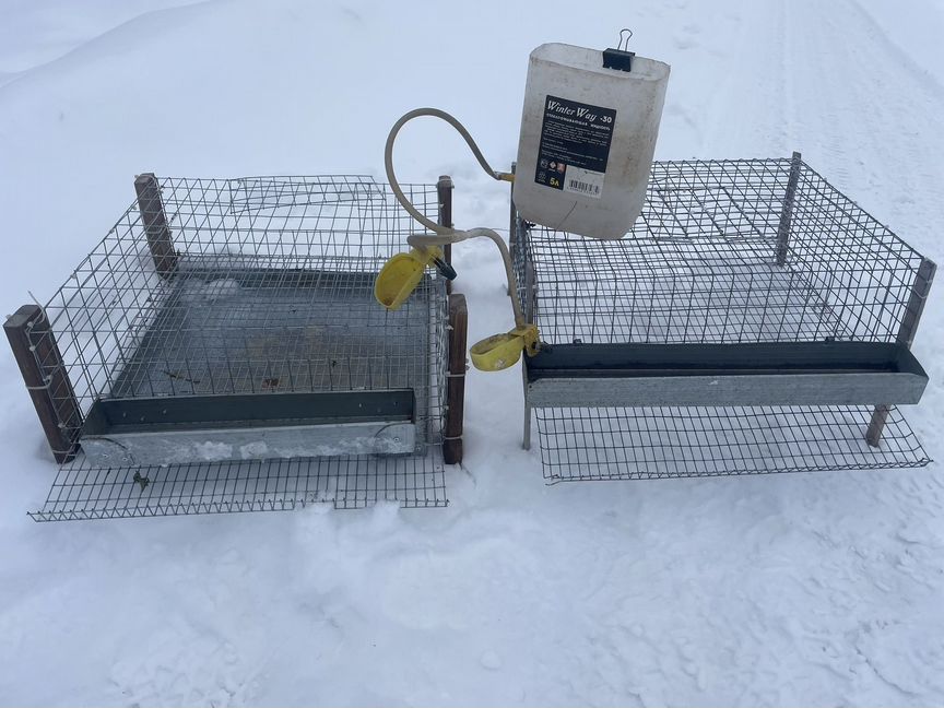 Клетка для перепелок