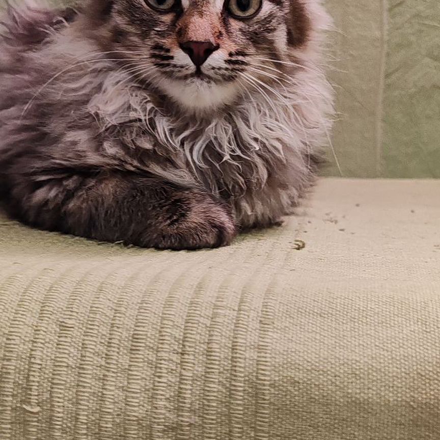 Мальчик 3 месяца
