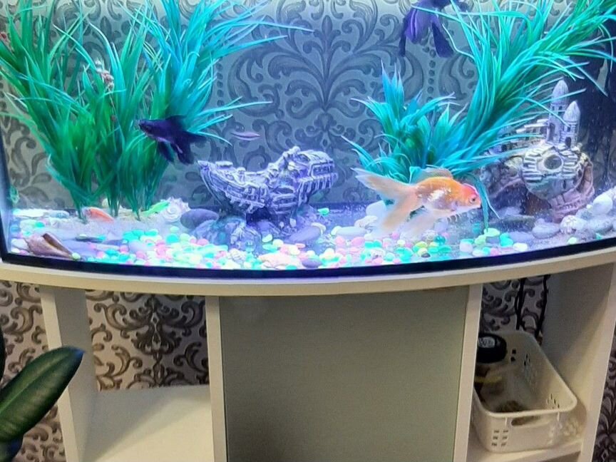 Аквариум с тумбой белый