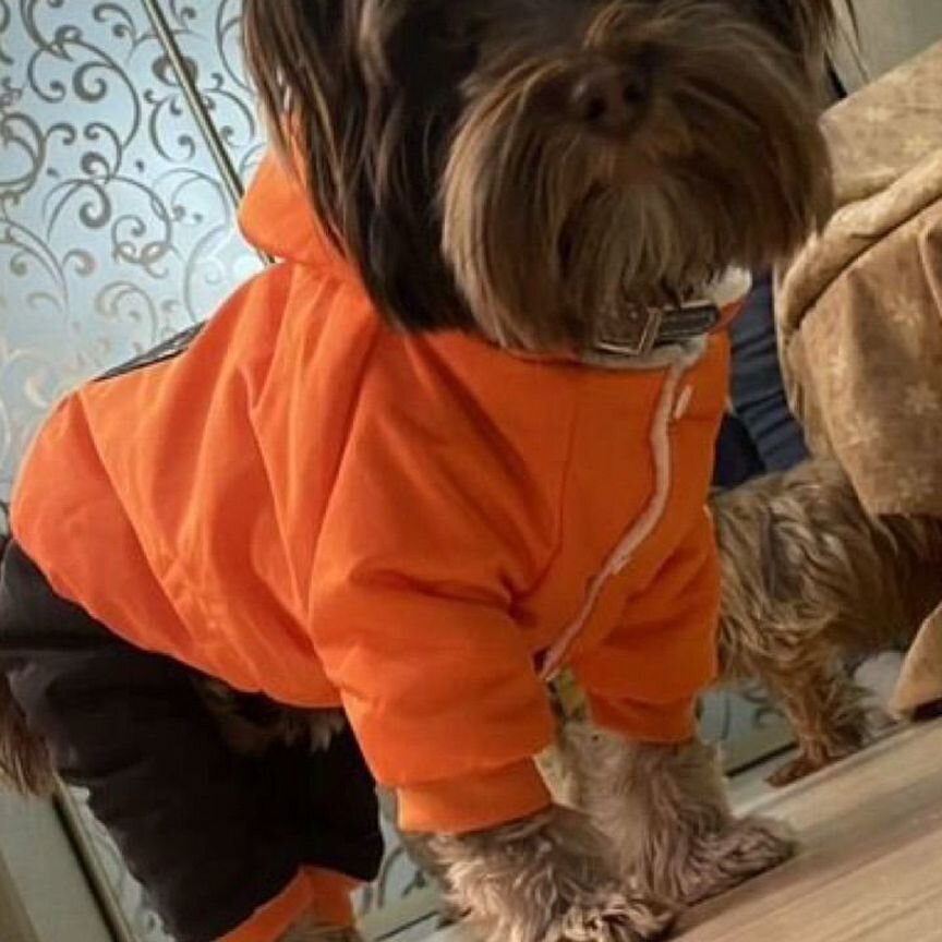 Биро йорк(шоколадный )