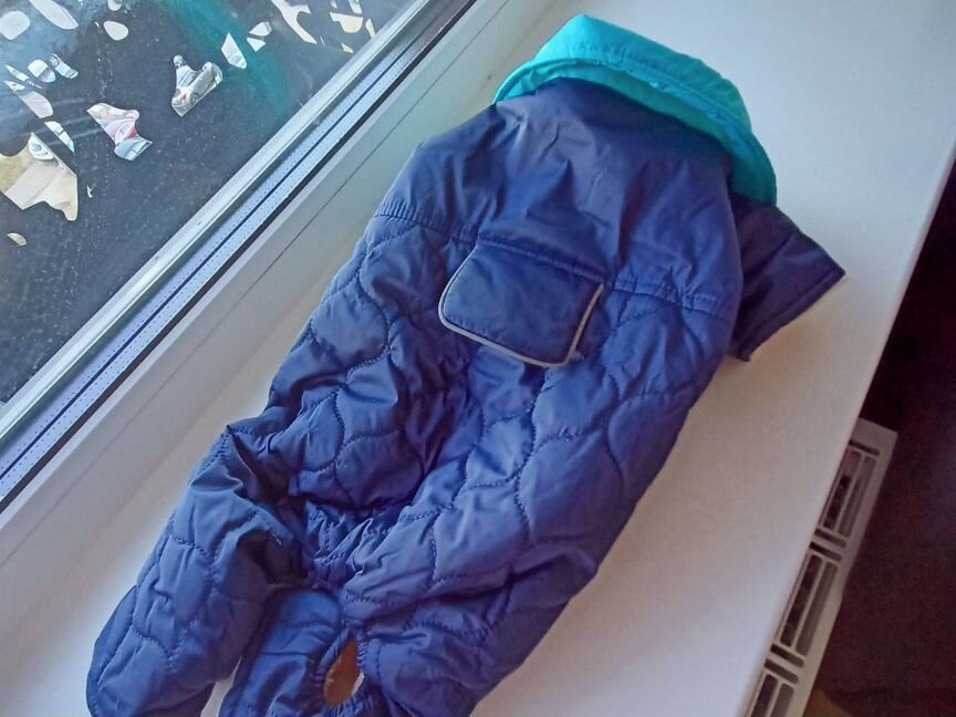 Одежда для собак и кошек