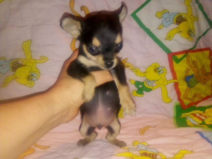 Мальчик 2 месяца