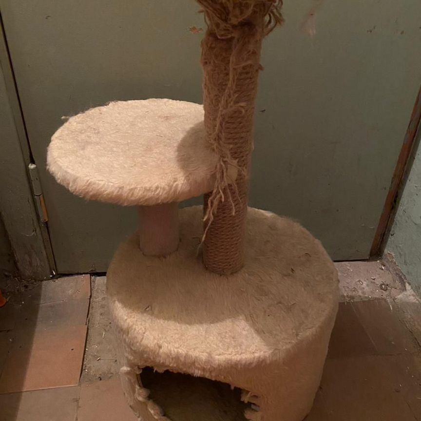 Когтеточка домик для кошки комплекс