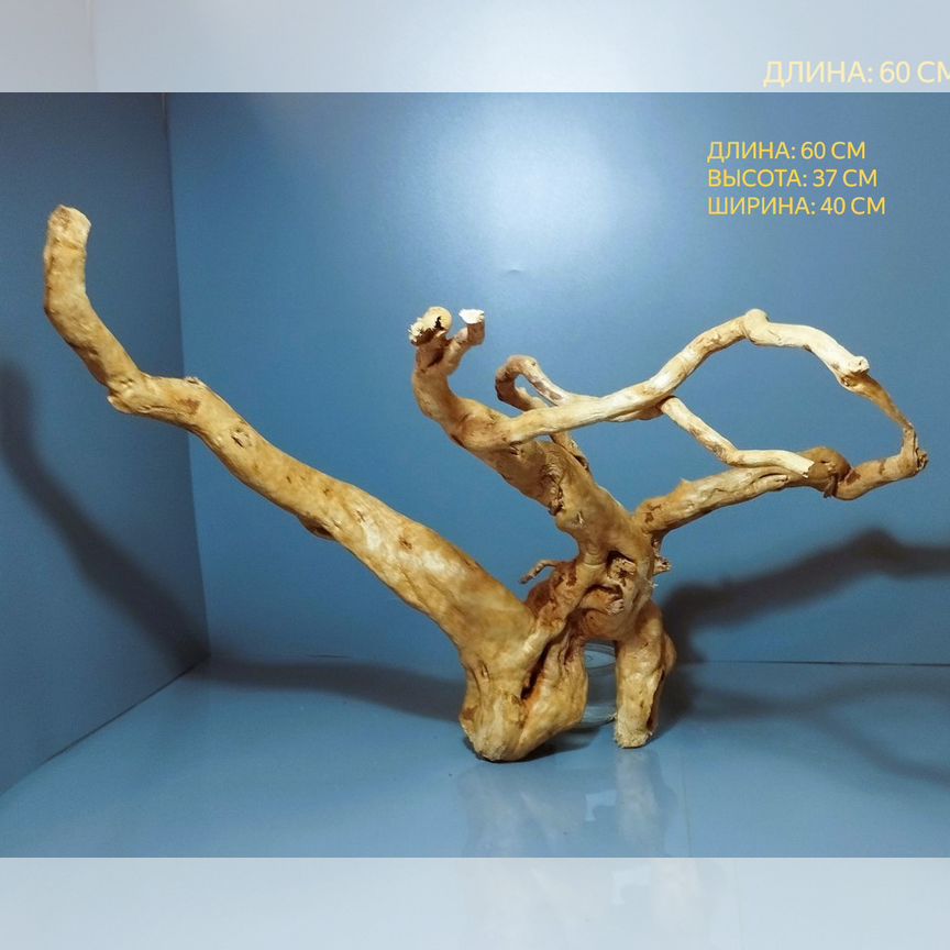 Коряга для аквариума паучий корень 60*40*37 вк7